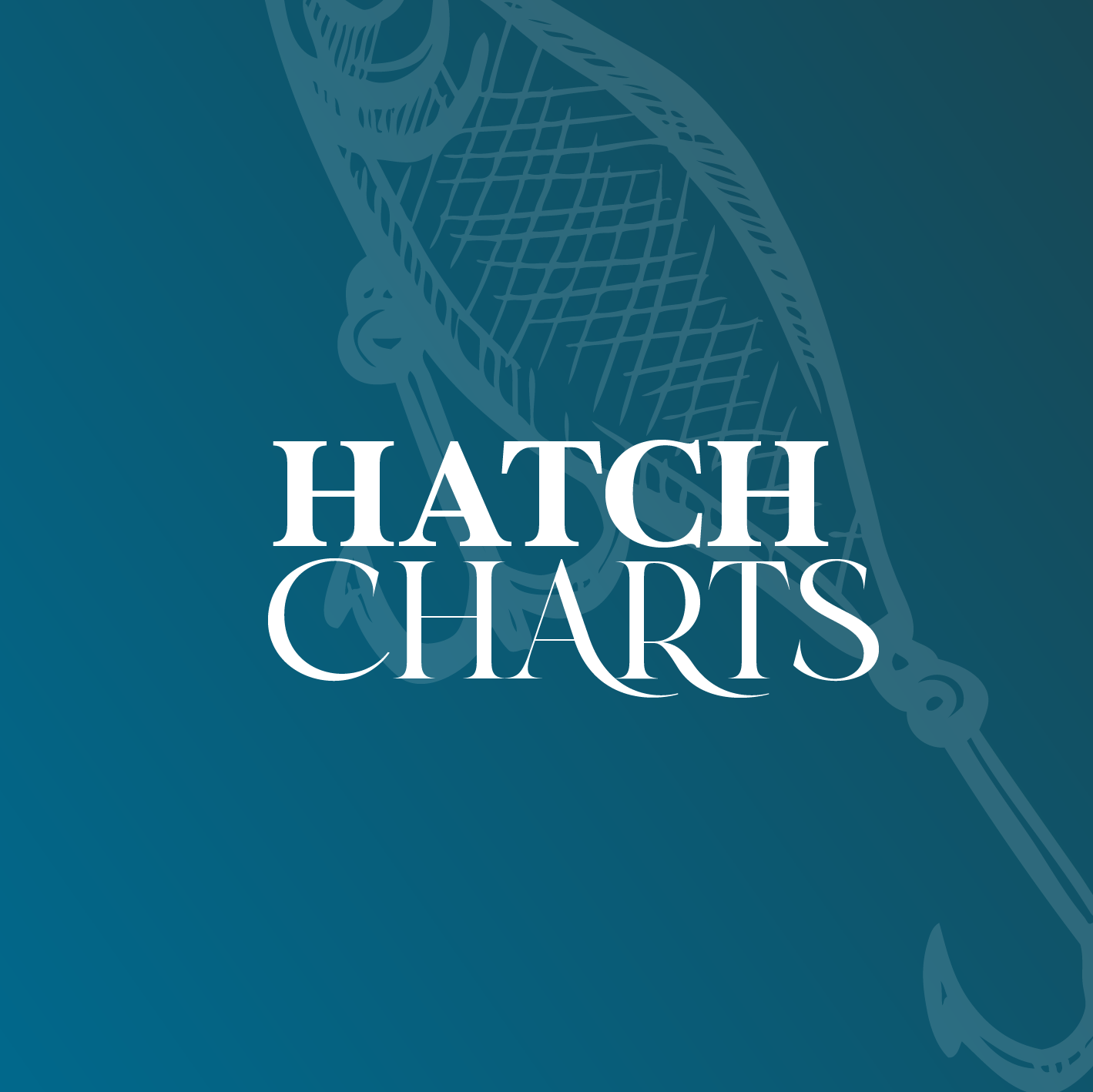 Hatches for our local rivers - updated 2024!